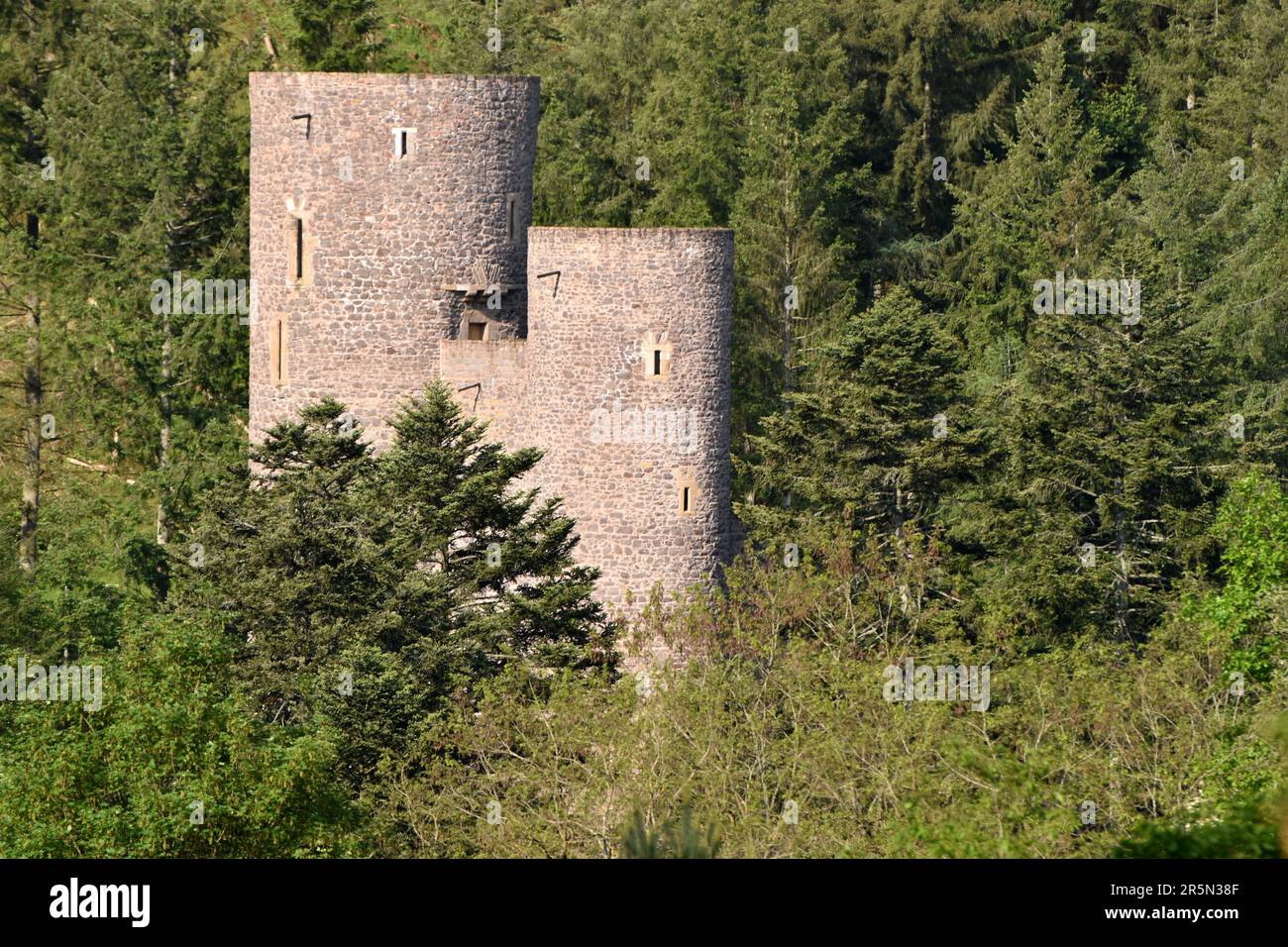 The medieval Spornburg Frauenburg in the Birkenfeld district in the ...