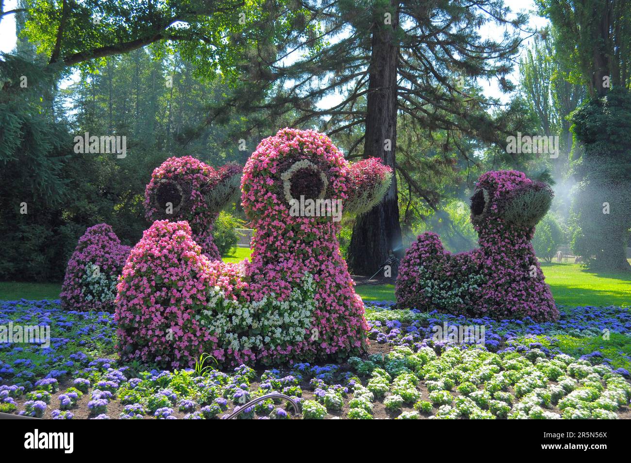 Lake Constance Island Mainau, animal figures made of flowers, duck ...