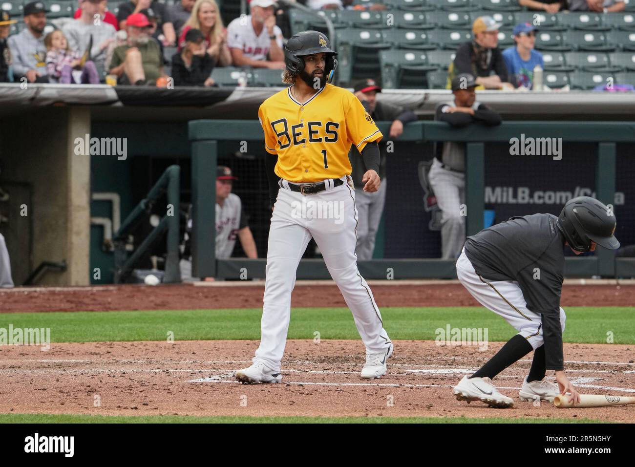 Albuquerque isotopes hi-res stock photography and images - Alamy