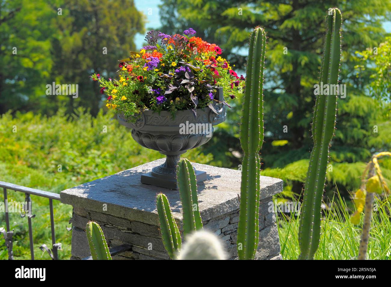 Lake Constance Island Mainau, various flowers in a vessel, flower bowl ...