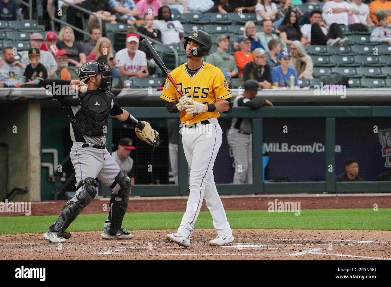 Salt Lake UT, USA. 3rd June, 2023. Albuquerque catcher Daniel Cope (14 ...