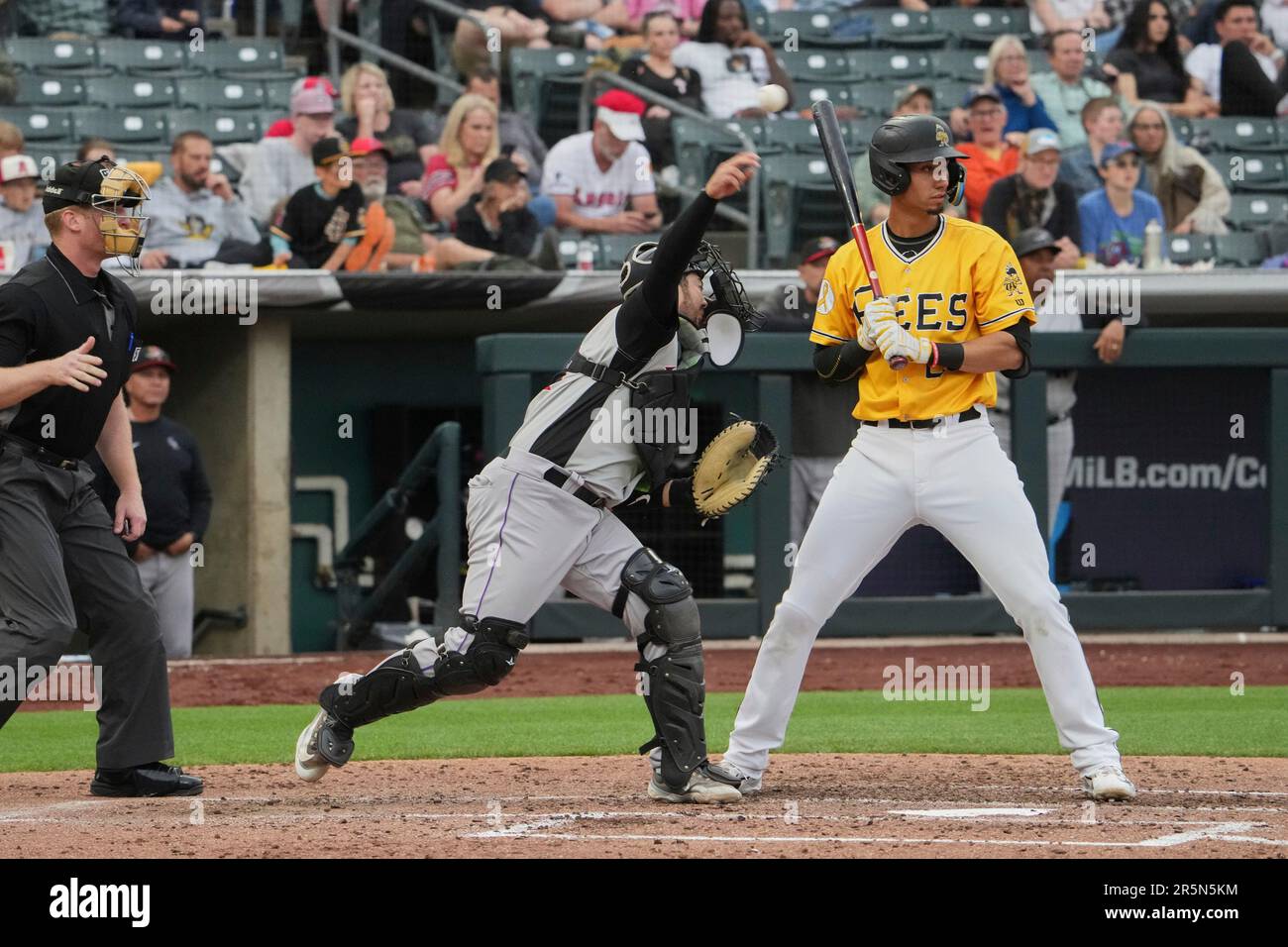Salt Lake UT, USA. 3rd June, 2023. Albuquerque catcher Daniel Cope (14 ...