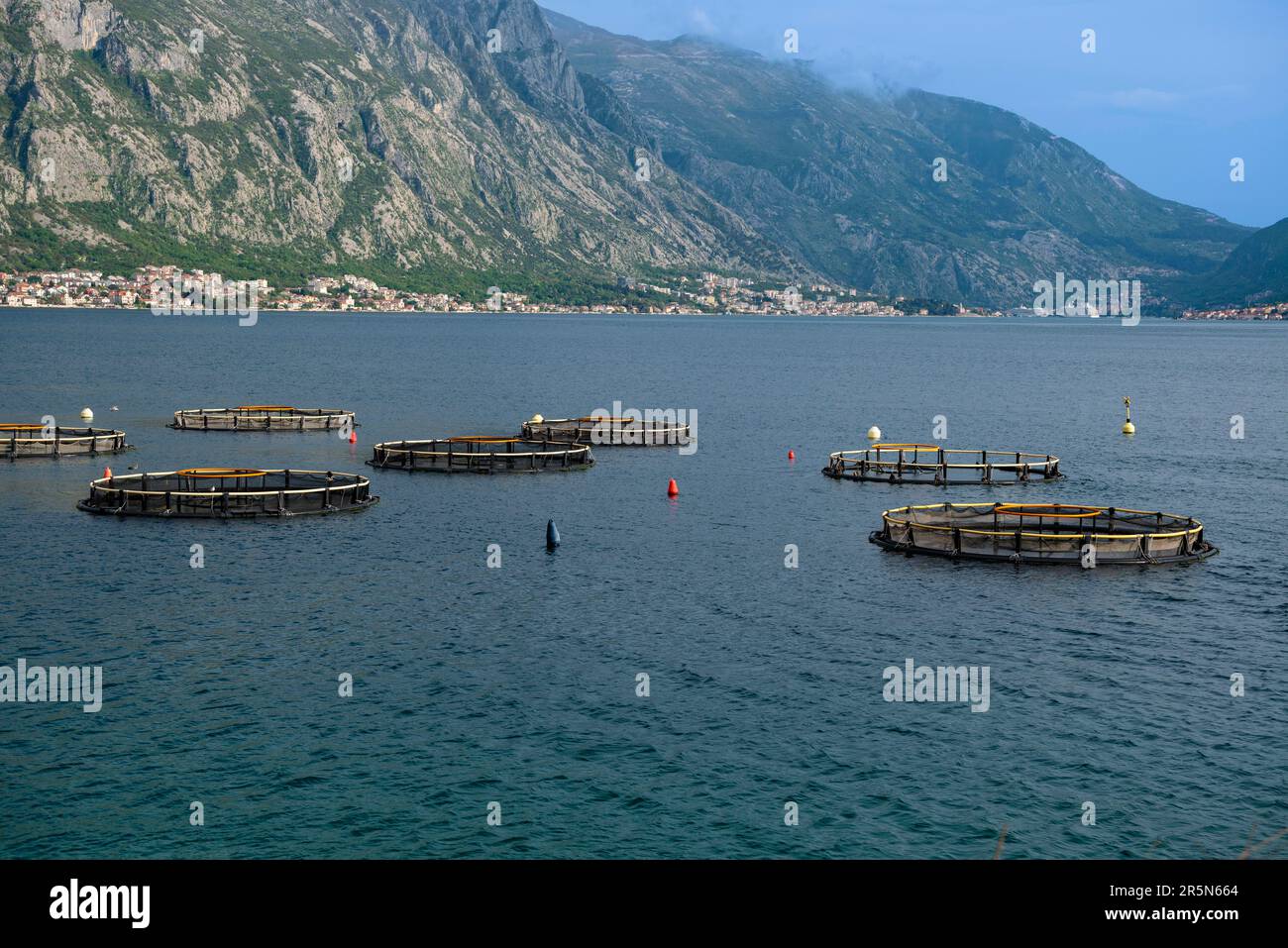 Fish enclosure hi-res stock photography and images - Alamy