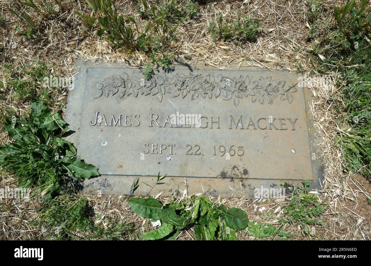 James mackey hi-res stock photography and images - Alamy