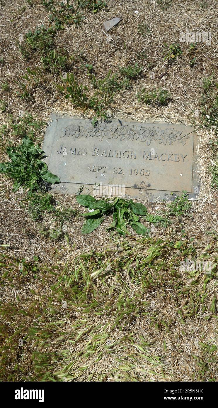 Los Angeles, California, USA 3rd June 2023 Major League Baseball Player ...