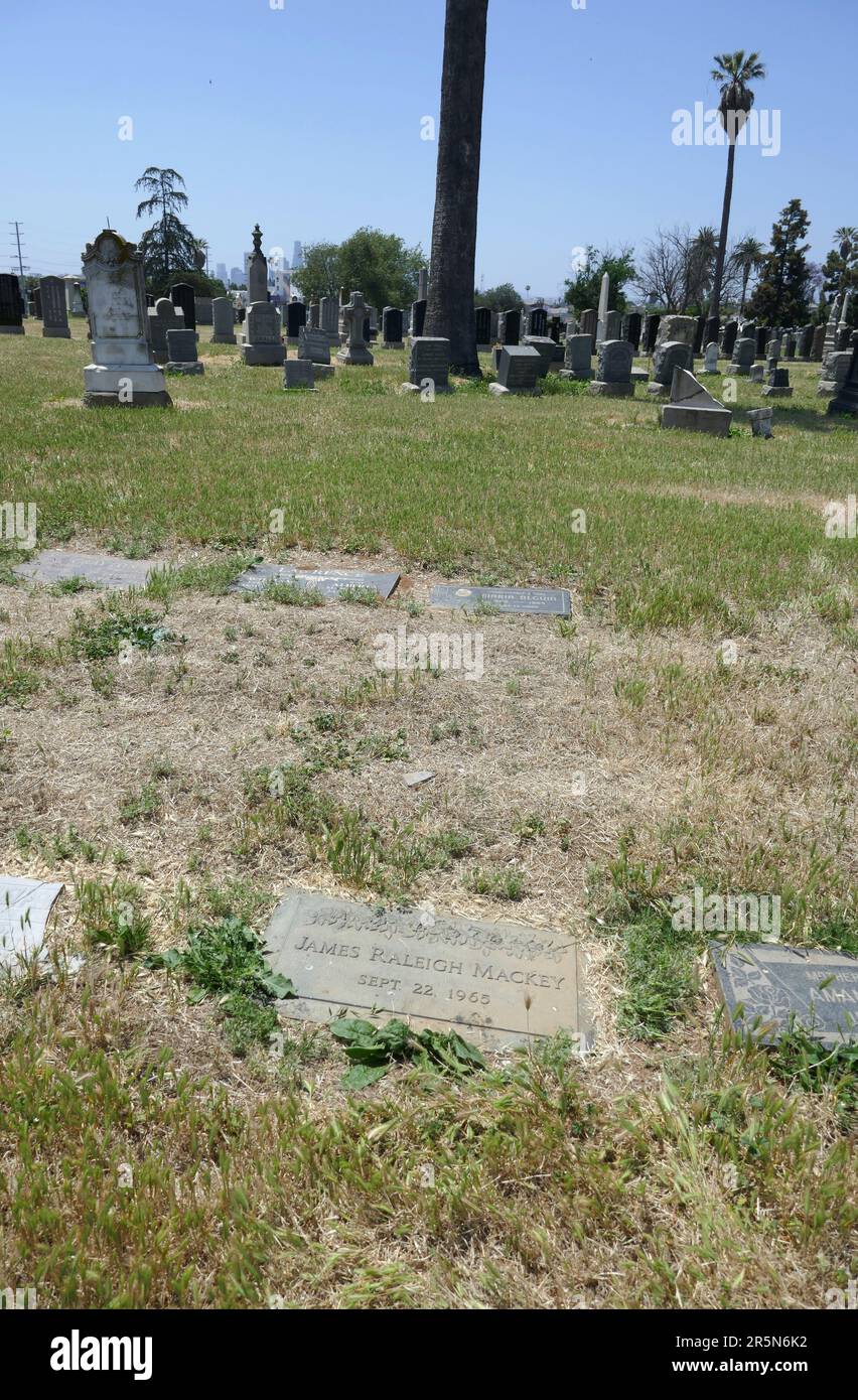 Los Angeles, California, USA 3rd June 2023 Major League Baseball Player ...