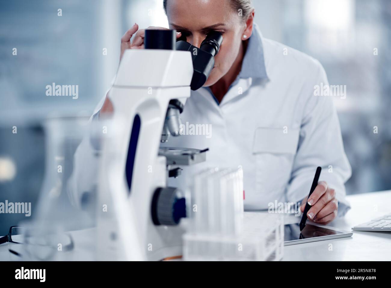 Microscope observations hi-res stock photography and images - Alamy
