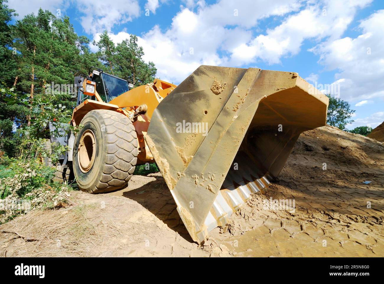 Crawler excavator digging at the edge of a forest Stock Photo - Alamy