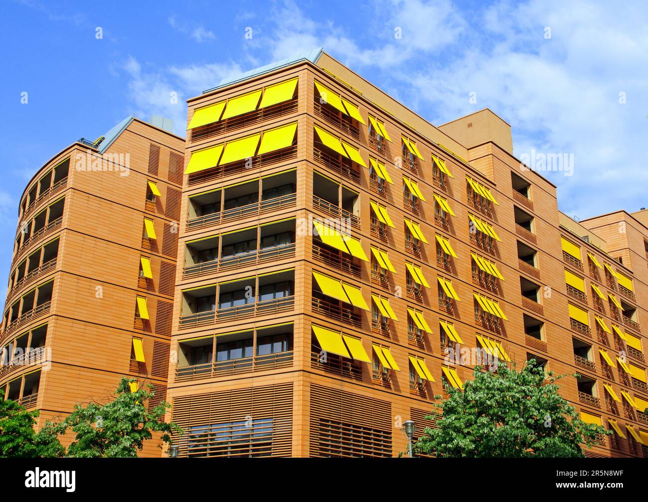 Shield shaped character hi-res stock photography and images - Alamy