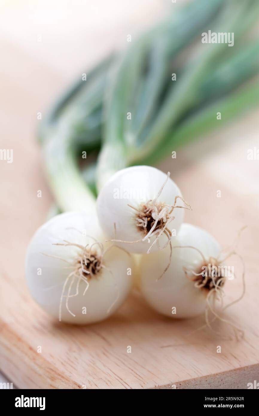 Three bulbs spring onions on white background Stock Photo - Alamy