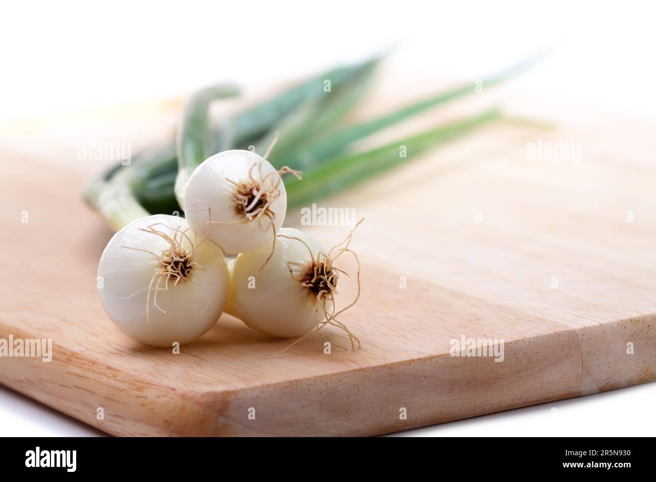 Three bulbs spring onions Stock Photo - Alamy