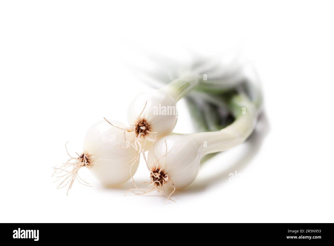 Three bulbs spring onions on white background Stock Photo - Alamy