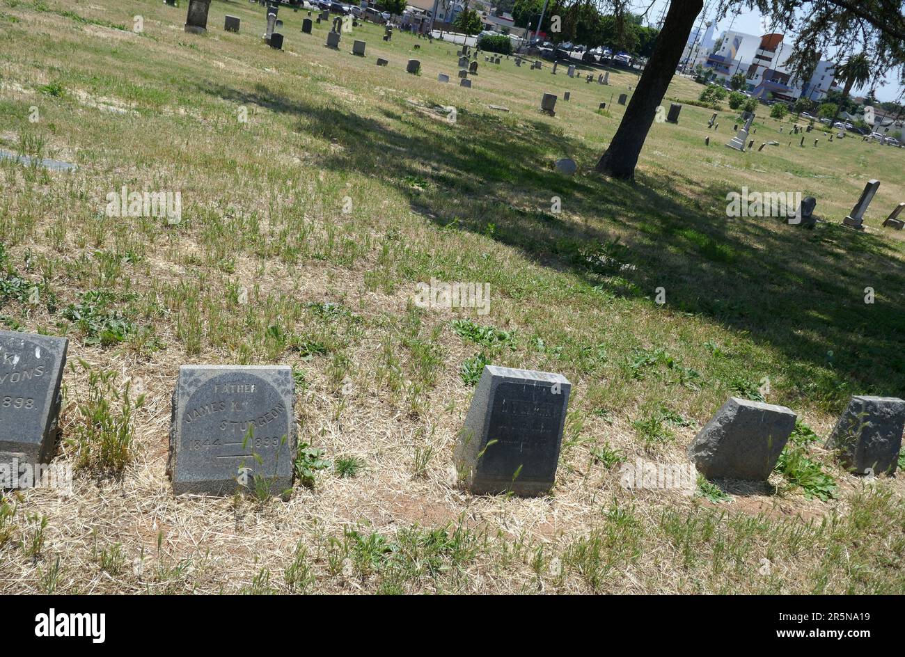 Los Angeles, California, USA 3rd June 2023 American Civil War Medal of ...