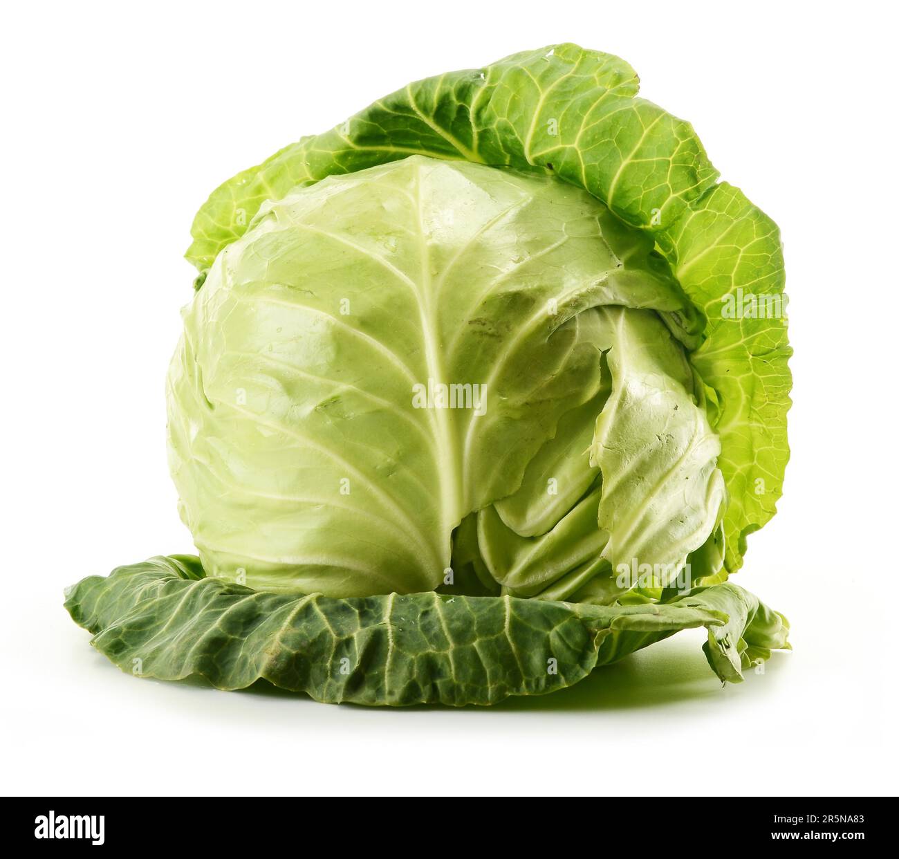 White cabbage recipe hi-res stock photography and images - Alamy