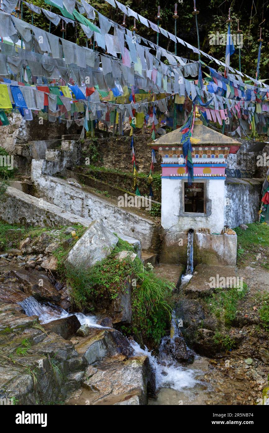 Shrine with Buddhist flags in Bhutan Stock Photo - Alamy