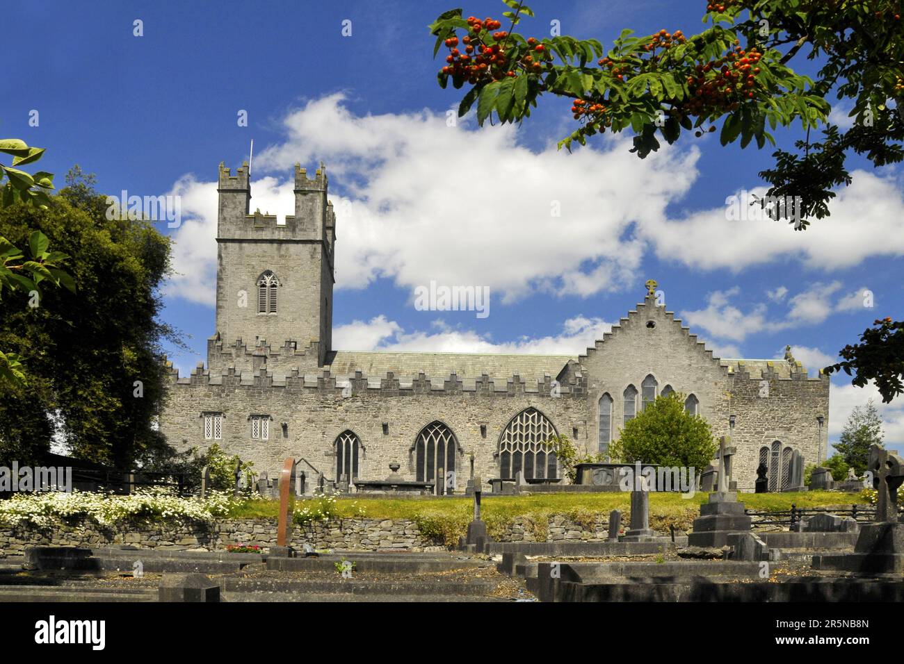 St. Mary's Cathedral, Limerick Cathedral Stock Photo - Alamy