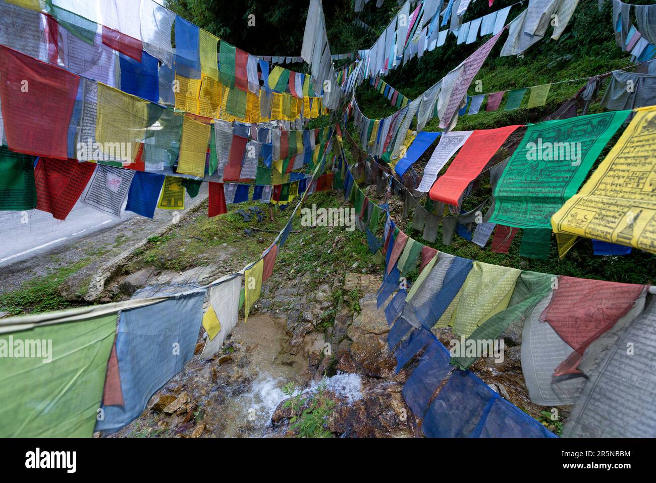 Buddhist flags in Bhutan Stock Photo - Alamy