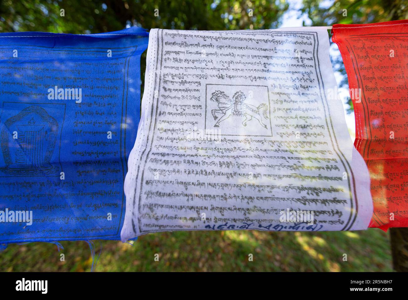 Buddhist flags in Bhutan Stock Photo - Alamy