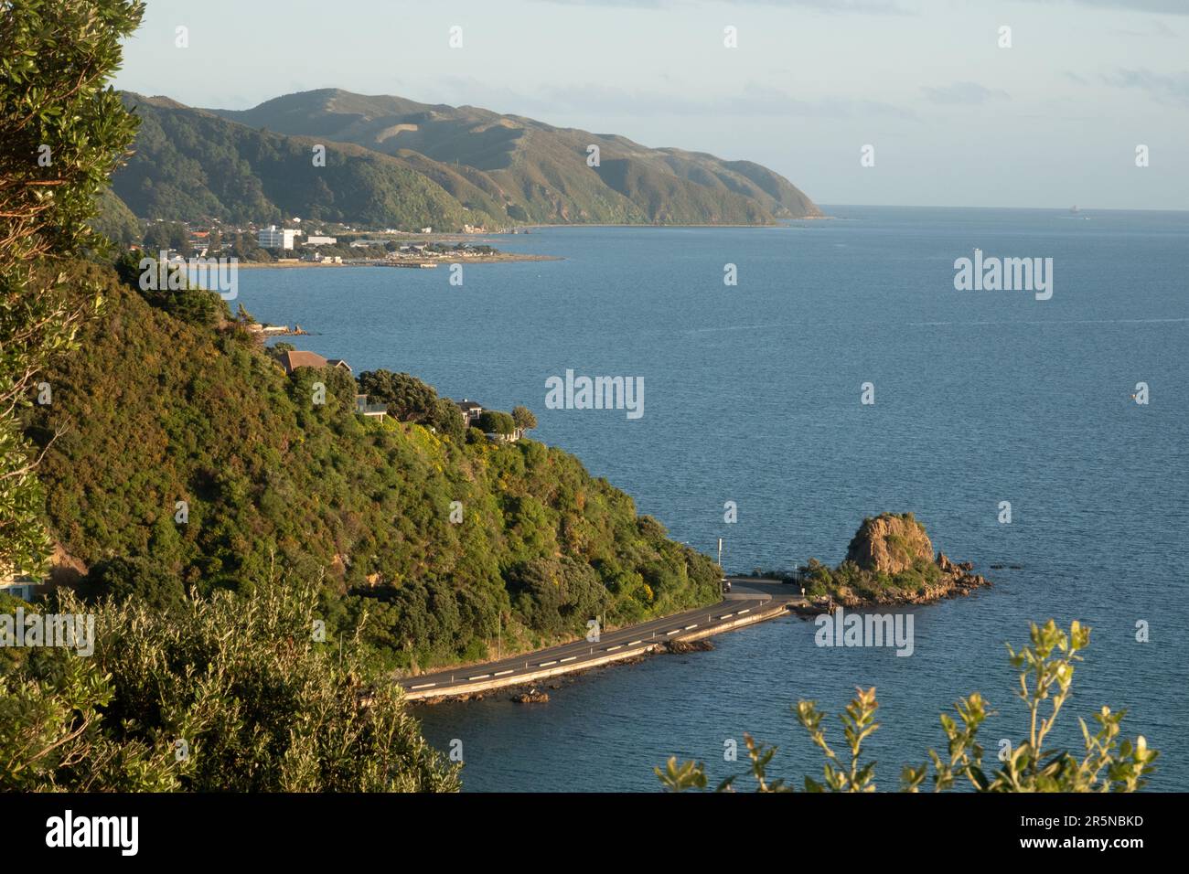 View of Eastbourne in Wellington Harbour, New Zealand Stock Photo - Alamy