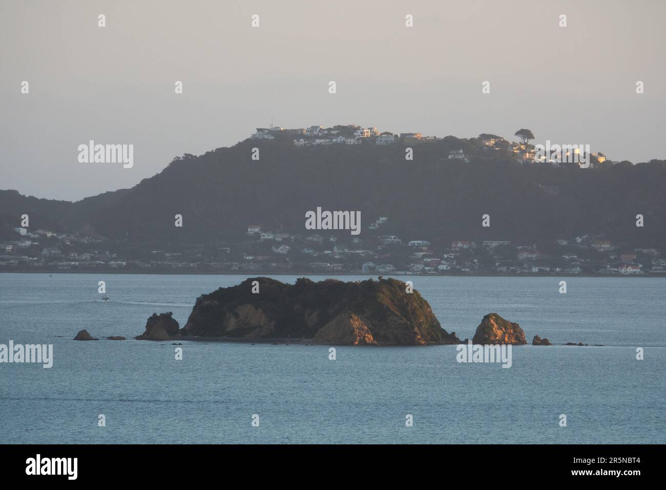 Ward Island in Wellington Harbour, New Zealand Stock Photo - Alamy
