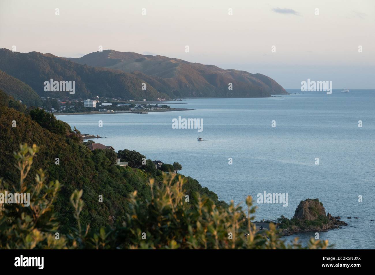 View of Eastbourne in Wellington Harbour, New Zealand Stock Photo - Alamy
