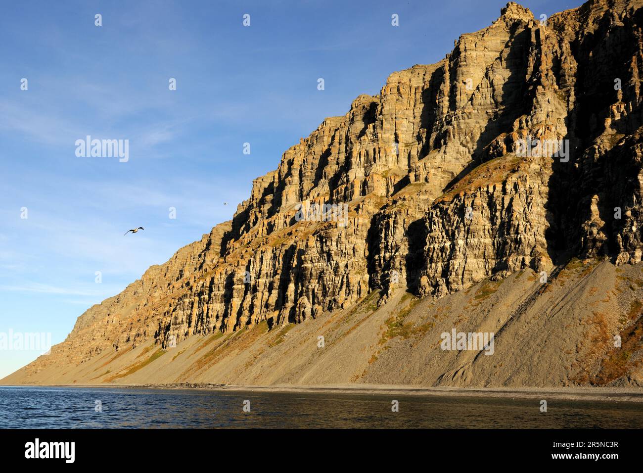 Cape Liddon, Devo, Cliff, Cliffs, Steeple, Iceland, Canada Stock Photo ...