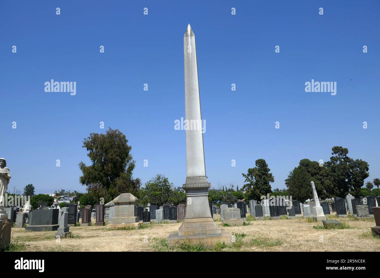 Cameron thom hi-res stock photography and images - Alamy