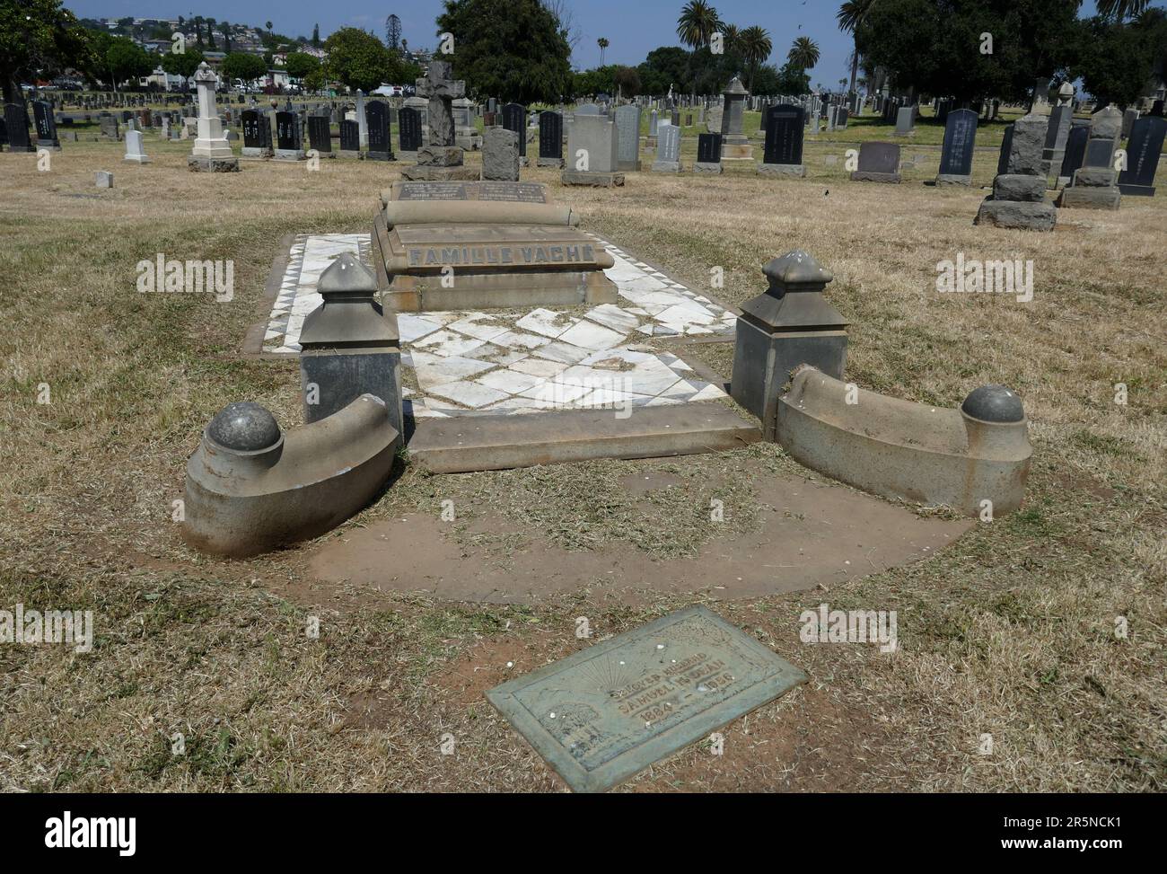 Emile vache hi-res stock photography and images - Alamy