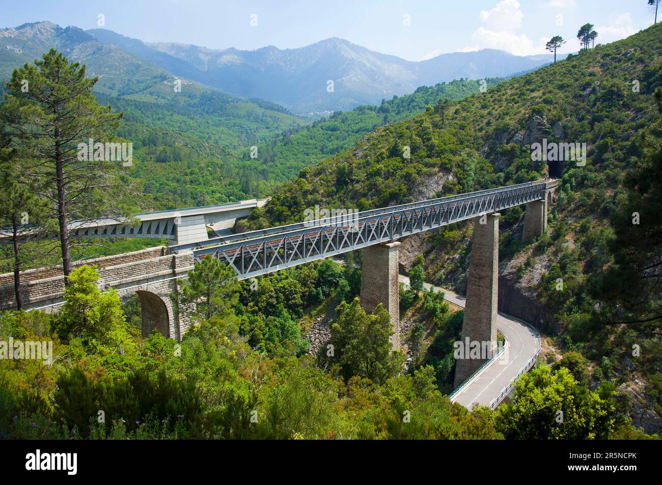 Bridges, Pont du Vecchio, Corsica, France, railway bridge by Gustave ...