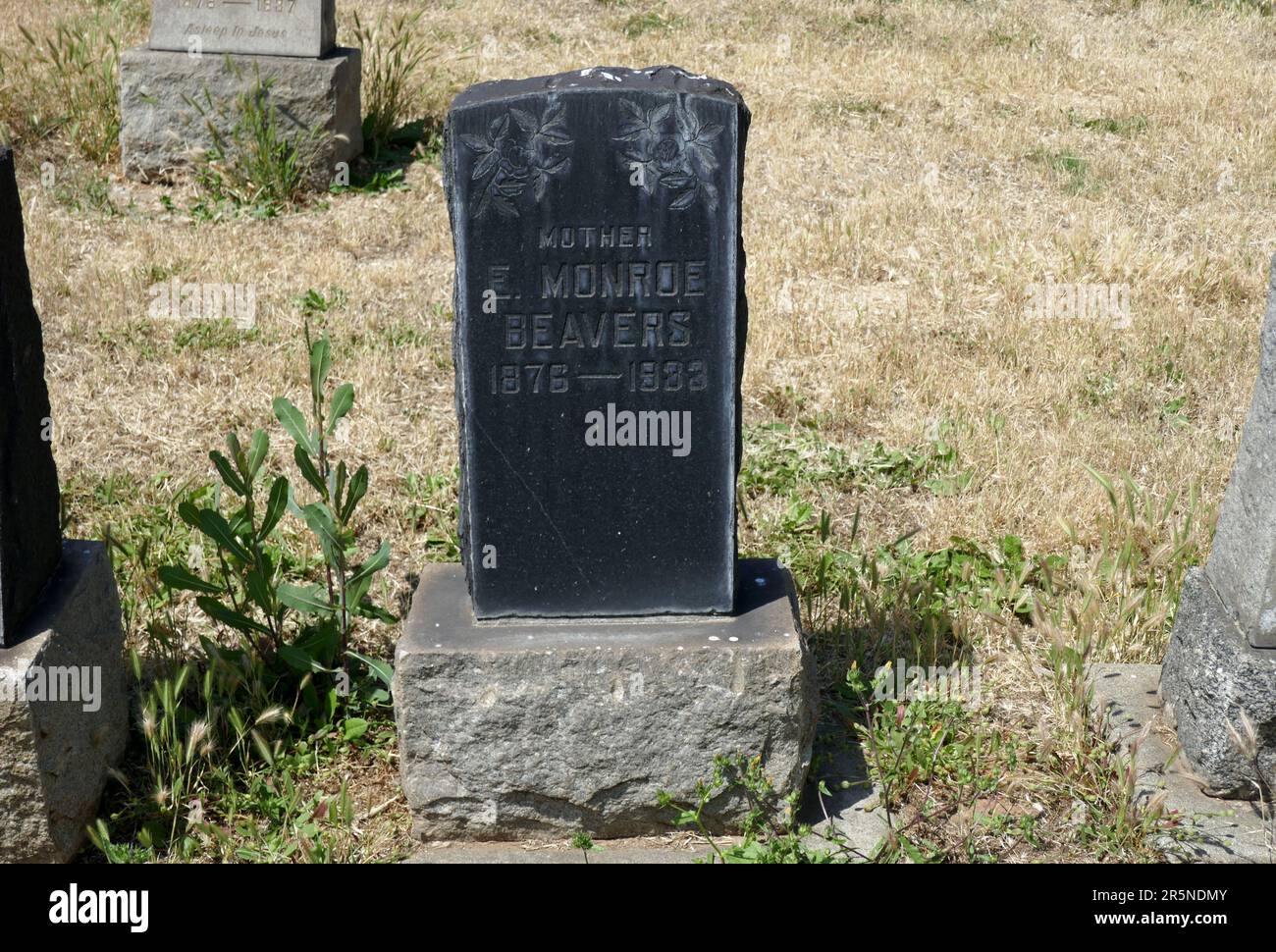 Louise beavers hi-res stock photography and images - Alamy
