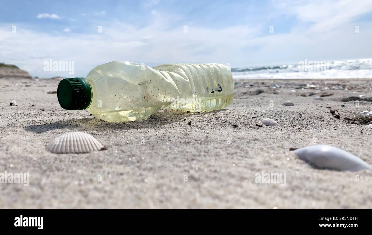 Environmental pollution: Plastic bottle at a coast. Video footage clip ...