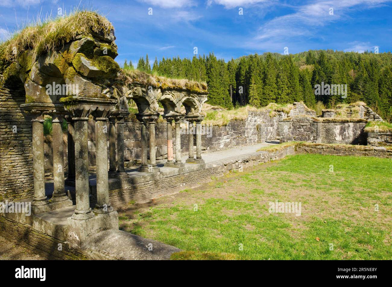 Lyse Monastery, Hellge Mara, Mara Monastery, former Cistercian Abbey ...