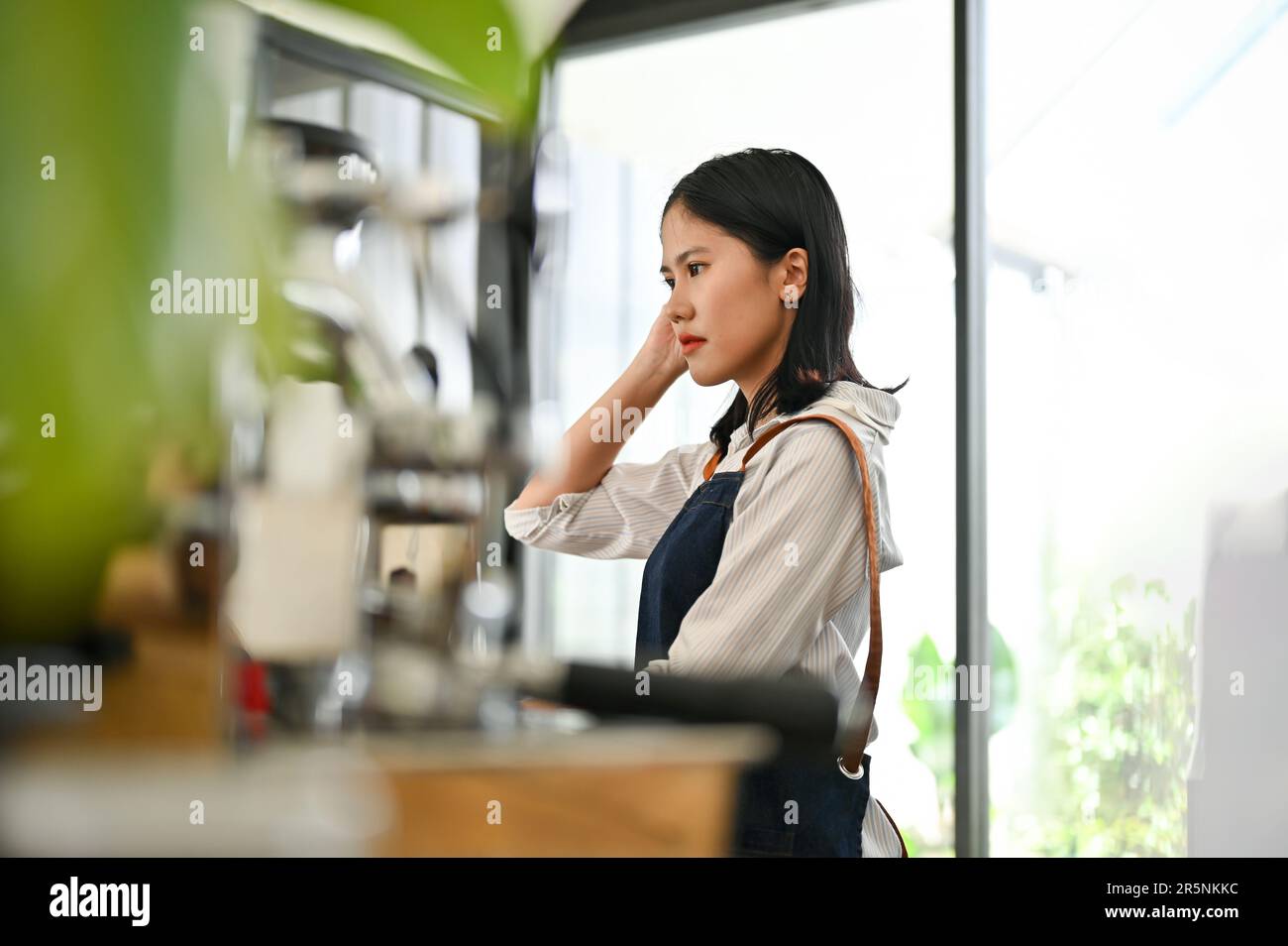 Focused young Asian female cashier or barista standing at the bar ...