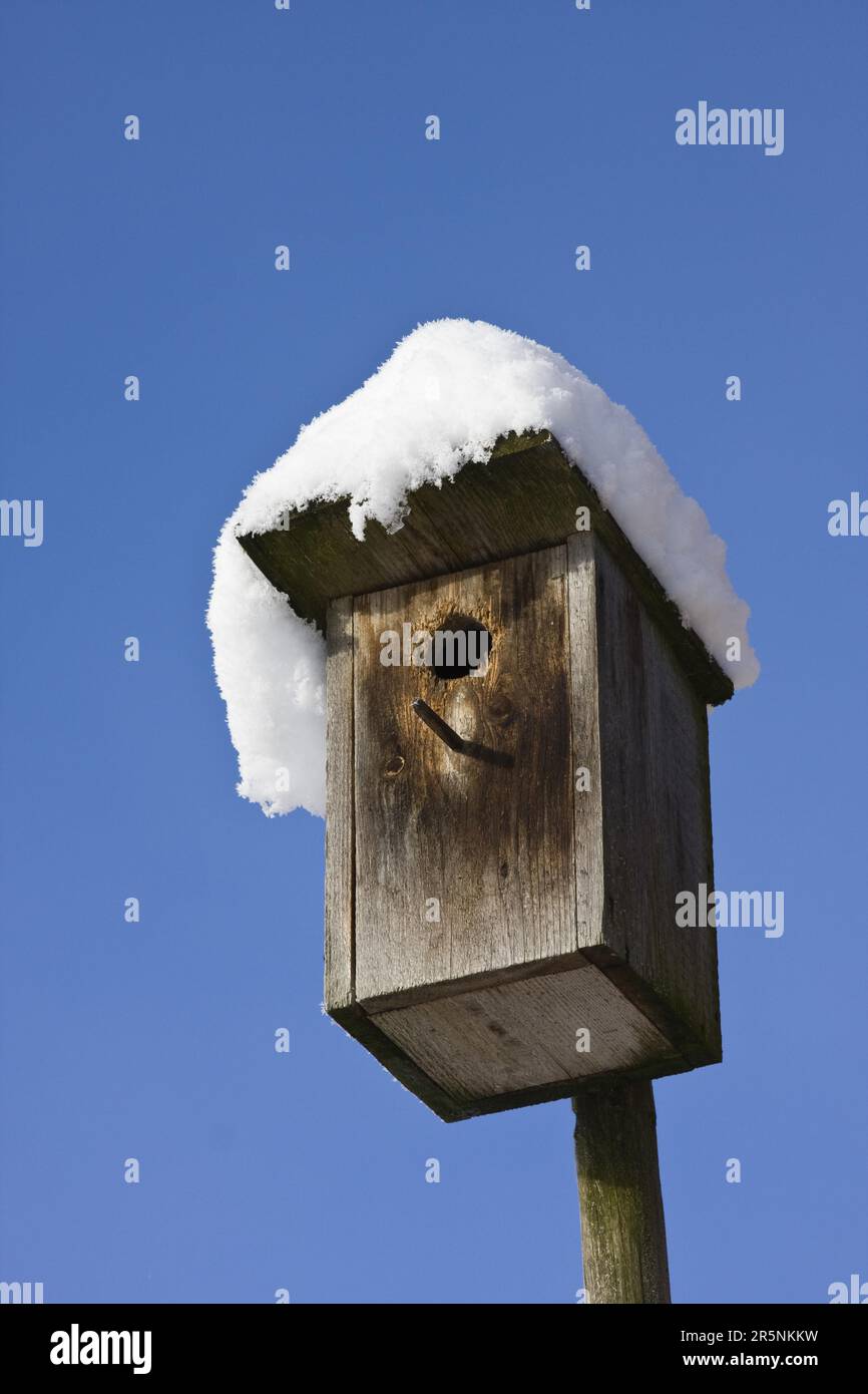 Bird nesting box Stock Photo - Alamy