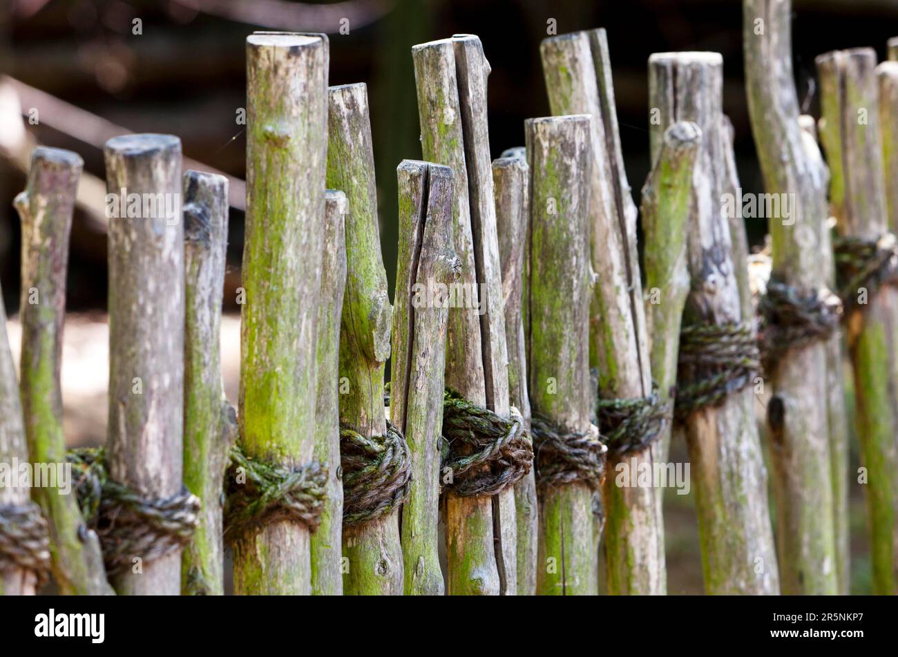 Natural wood fence Stock Photo - Alamy