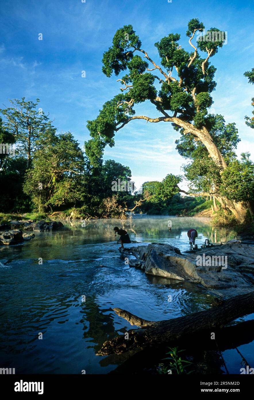 Moyar river in Mudumalai National Park, Nilgiris, Tamil Nadu, South ...