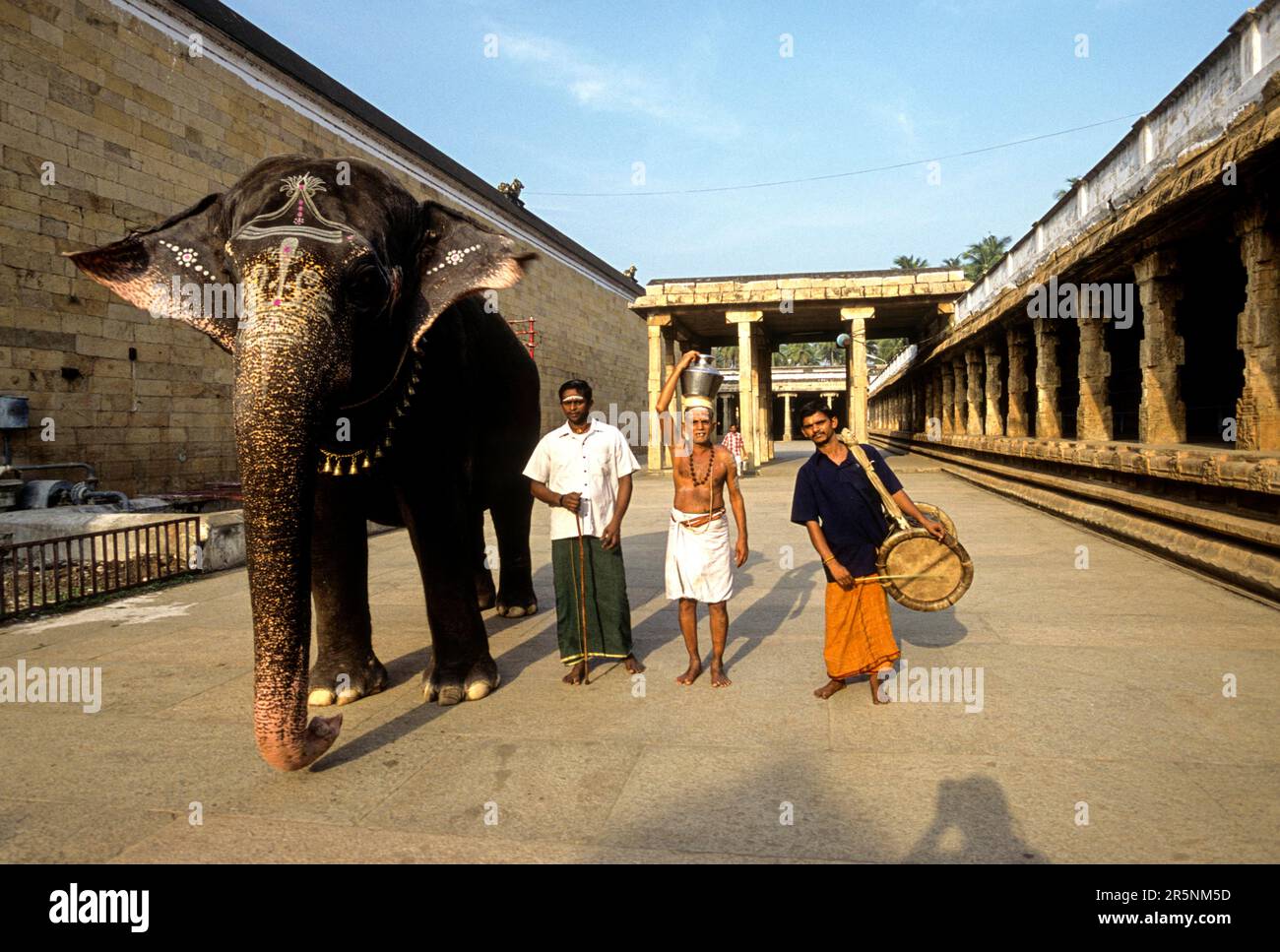 The priest carrying the holy water of river Kollidam on his head along ...