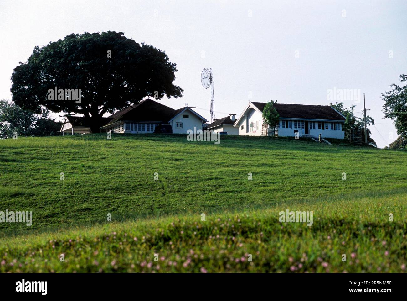 Guest house in Anamalai Tiger Reserve at Topslip near Pollachi, Tamil ...