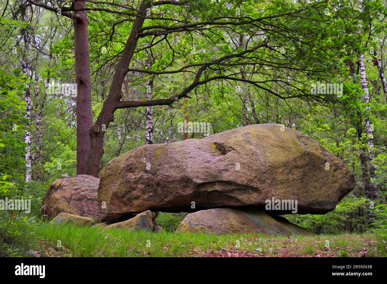Dolmen germany hi-res stock photography and images - Alamy