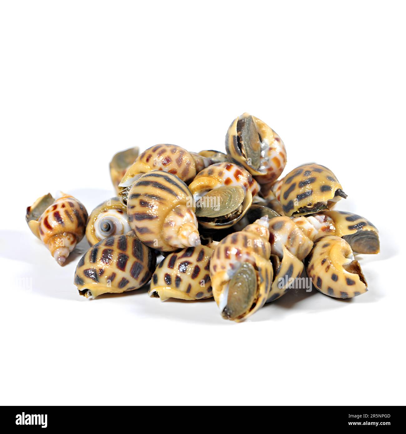 Babylon by the sea hi-res stock photography and images - Alamy