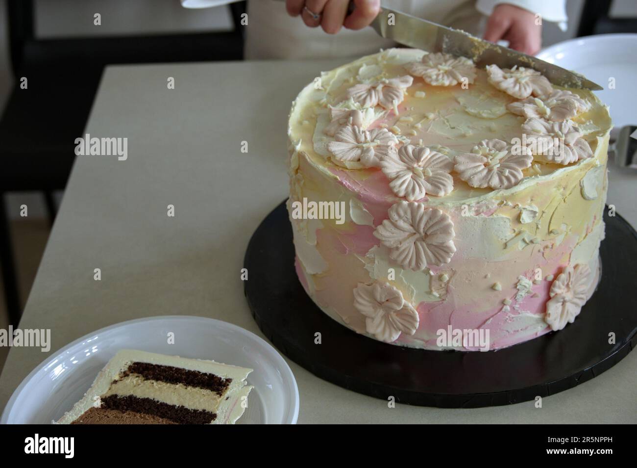 Womans hands cut cake hi-res stock photography and images - Alamy