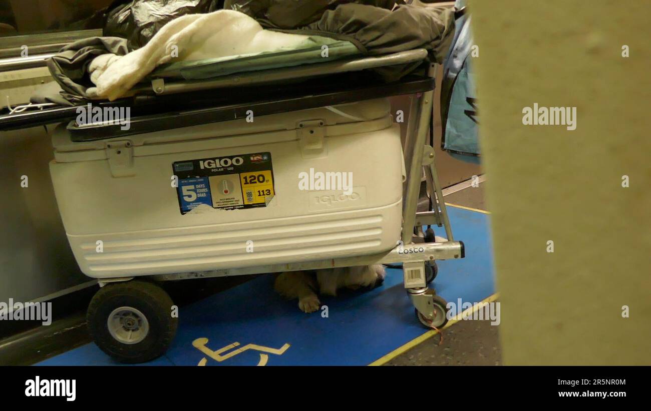 Los Angeles, California, USA 3rd June 2023 A general Cart on LA Subway ...