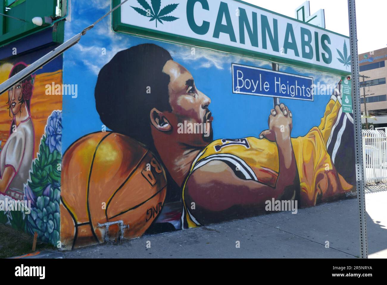 Championshiop rings hi-res stock photography and images - Alamy