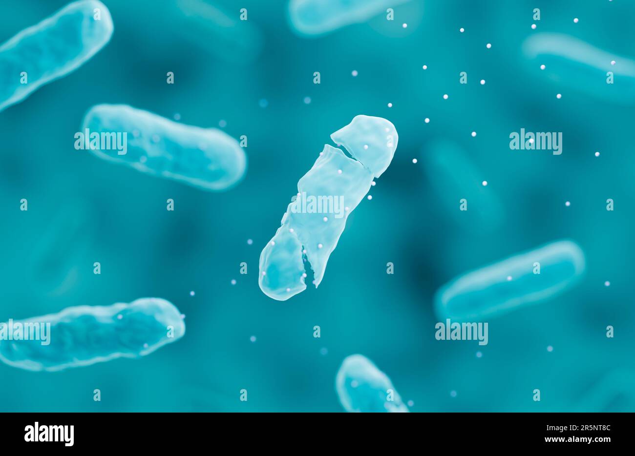 Antibiotics attacking bacteria, illustration Stock Photo - Alamy