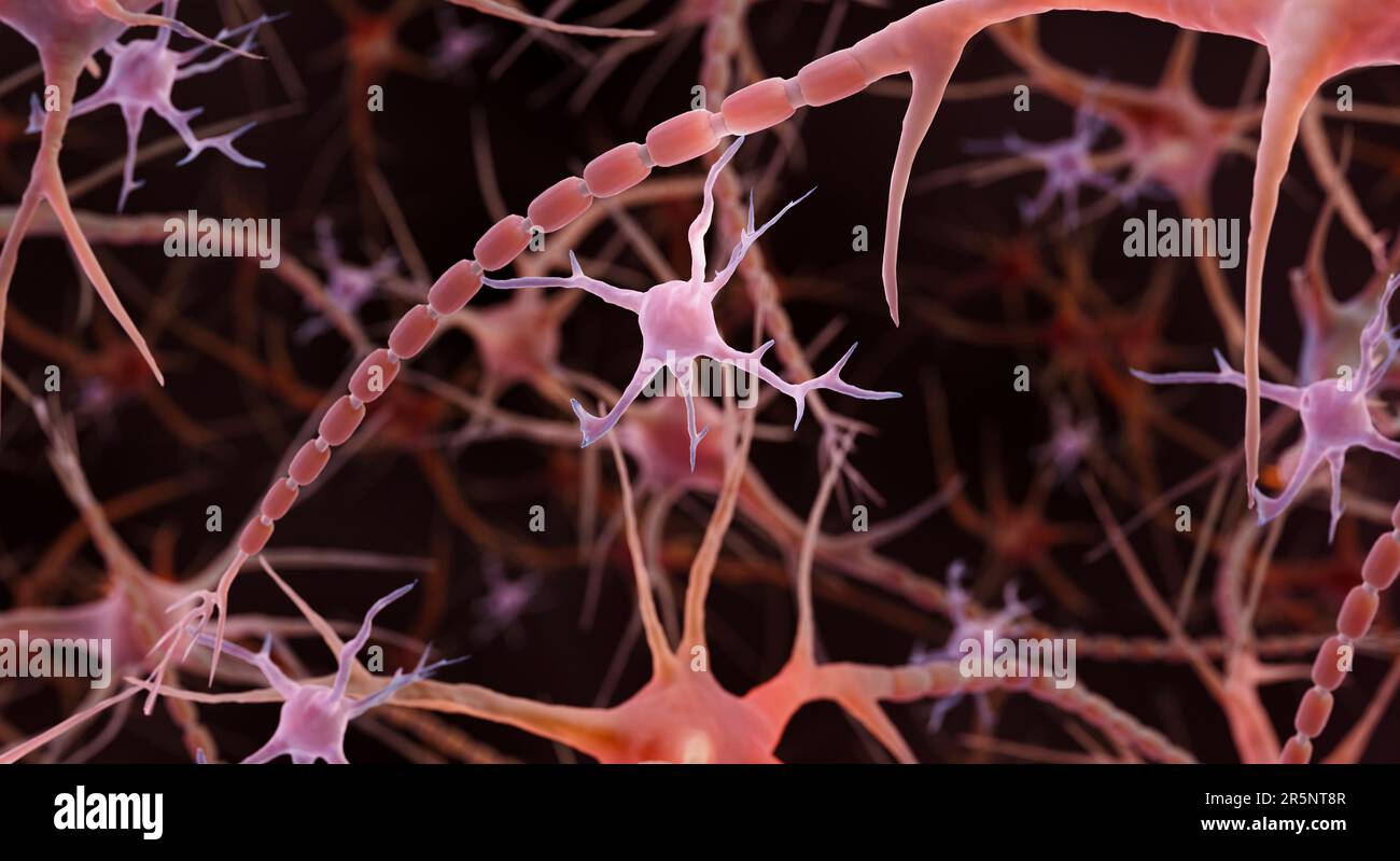 Neuroglia Microscope