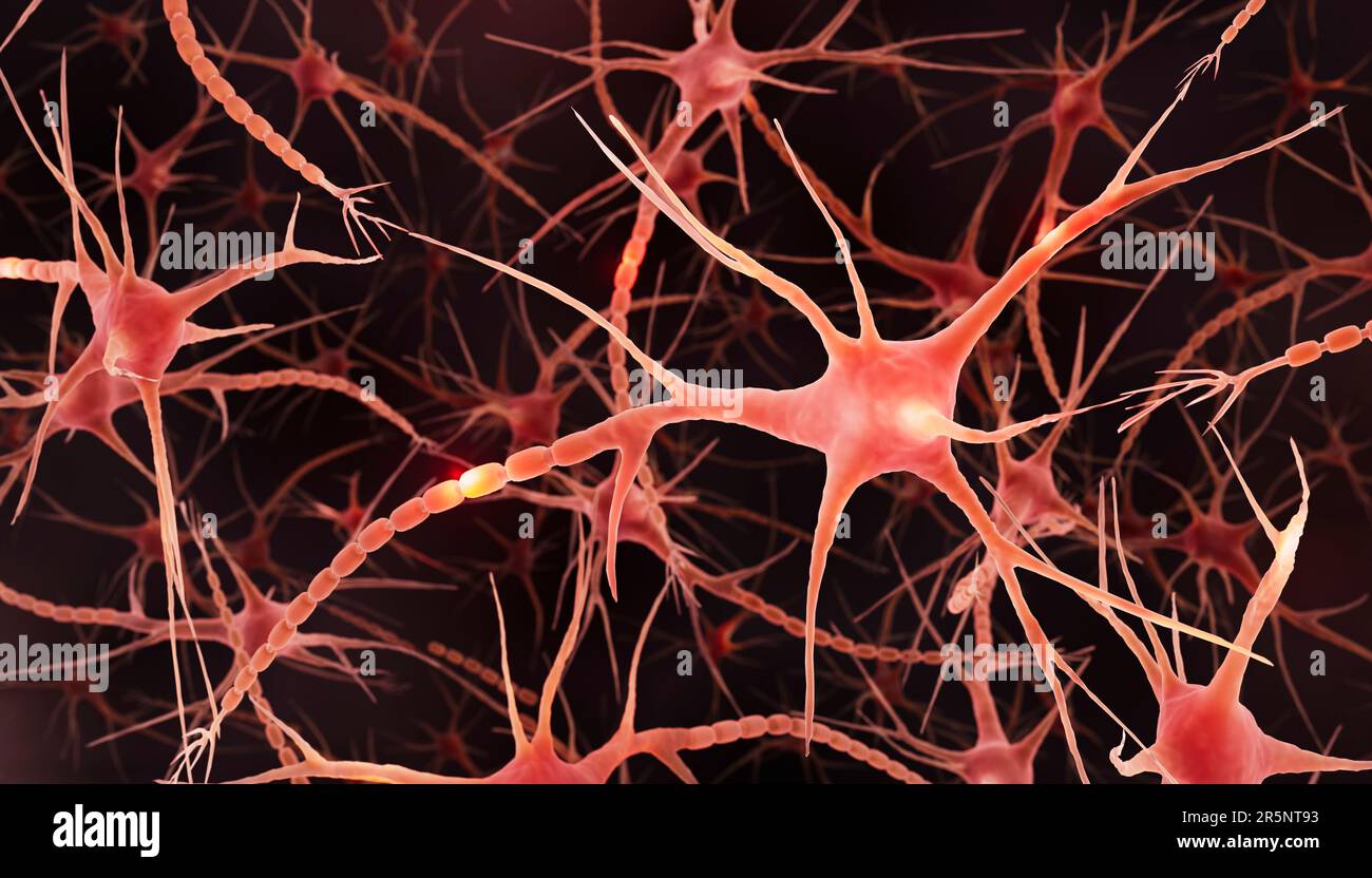 Brain neurons, illustration Stock Photo - Alamy