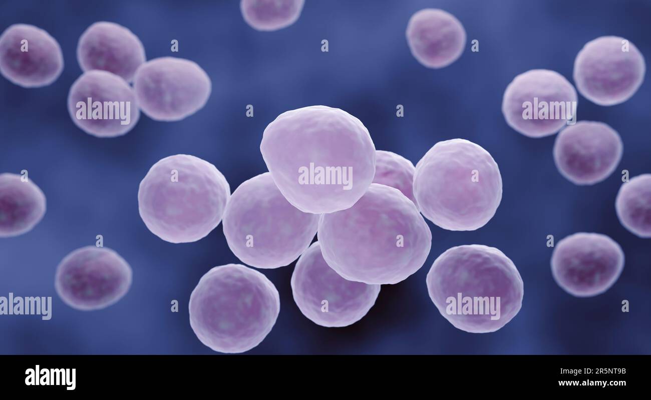 Mycoplasma bacteria, illustration Stock Photo - Alamy