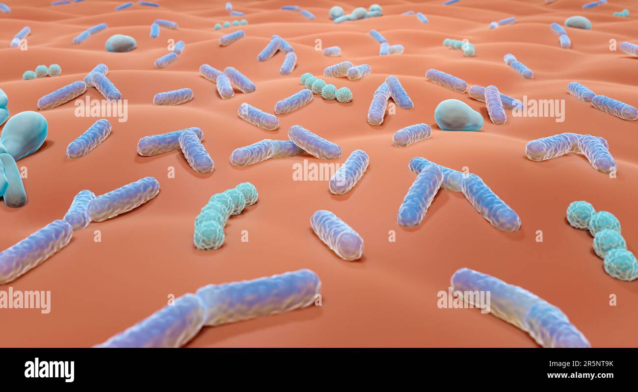 Skin microbiota, illustration Stock Photo - Alamy