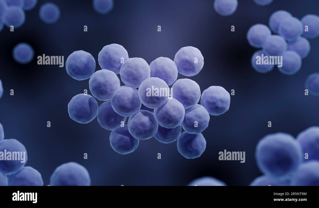 MRSA bacteria, illustration Stock Photo - Alamy
