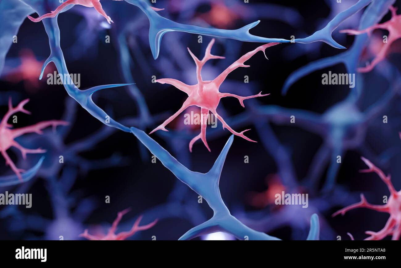 Glial cell, illustration Stock Photo - Alamy